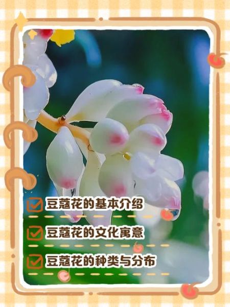 豆蔻梢头二月初是什么意思_豆蔻梢头二月初出处-第2张图片-山城妙识