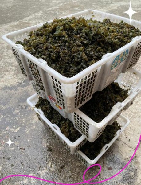 地木耳多少钱一斤_新鲜地木耳价格行情-第1张图片-山城妙识