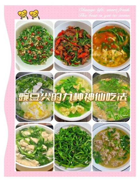 豌豆苗汤的做法_豌豆苗汤的功效-第1张图片-山城妙识 豌豆苗汤的做法_豌豆苗汤的功效-第1张图片-山城妙识