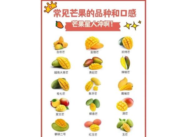 芒果怎么吃最好_芒果怎么吃最营养-第1张图片-山城妙识