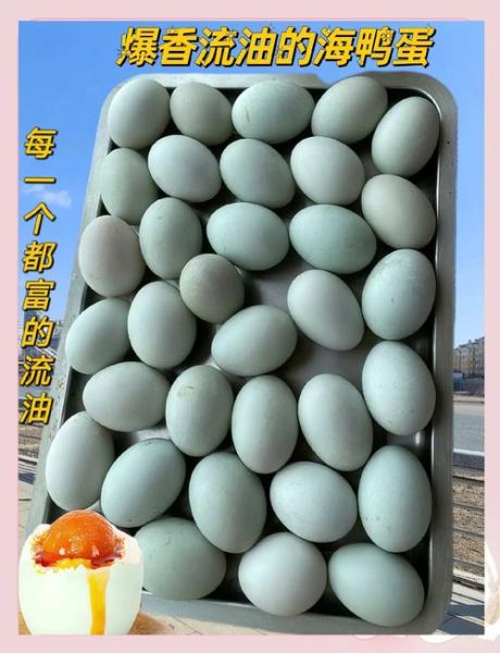海鸭蛋的营养价值_海鸭蛋的功效与作用-第2张图片-山城妙识
