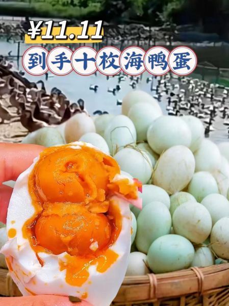 海鸭蛋的营养价值_海鸭蛋的功效与作用-第3张图片-山城妙识