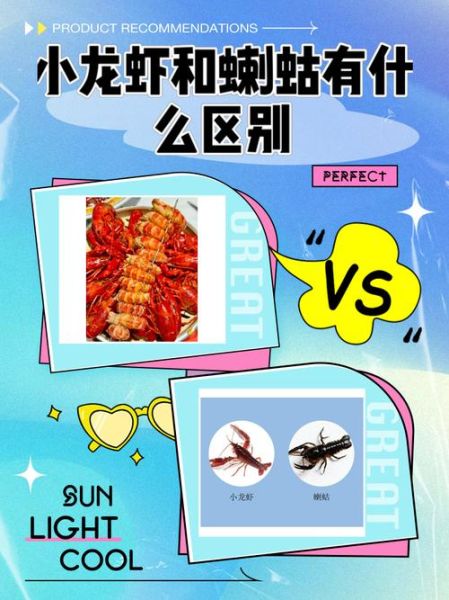 蝲蛄是什么_蝲蛄和小龙虾的区别-第1张图片-山城妙识 蝲蛄是什么_蝲蛄和小龙虾的区别-第1张图片-山城妙识