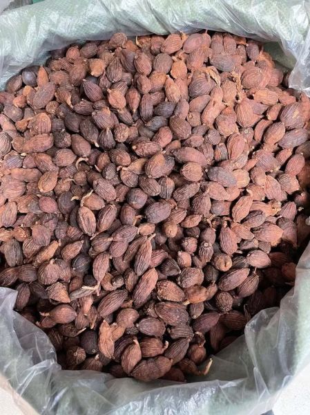 草果在卤水中的用量_草果什么时候放最好-第2张图片-山城妙识