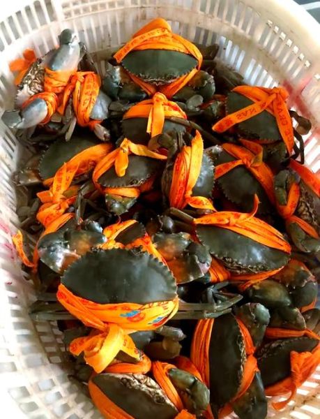 青蟹怎么清蒸_清蒸青蟹的正确做法-第3张图片-山城妙识