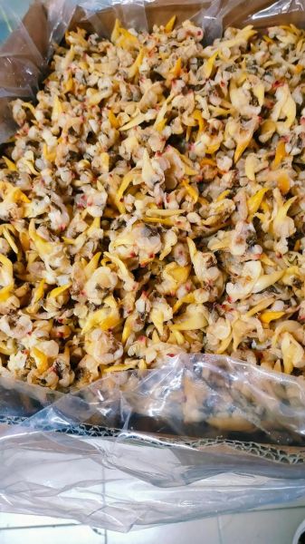 海鲜干货有哪些种类_如何挑选优质海鲜干货-第3张图片-山城妙识