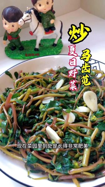 马齿菜怎么做好吃_马齿菜的做法大全-第1张图片-山城妙识 马齿菜怎么做好吃_马齿菜的做法大全-第1张图片-山城妙识