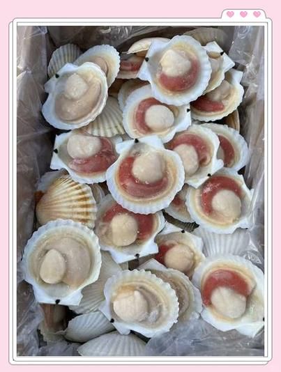 半壳扇贝怎么做好吃_半壳扇贝蒸多久最佳-第1张图片-山城妙识