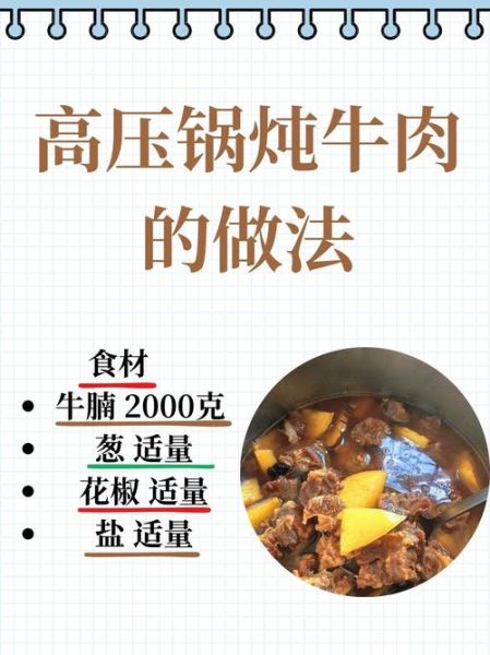 电压力锅炖牛肉怎么做好吃_电压力锅菜谱视频教学-第3张图片-山城妙识