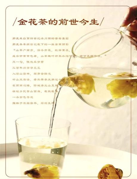 金花葵泡水喝的功效_金花葵泡水适合什么人喝-第1张图片-山城妙识