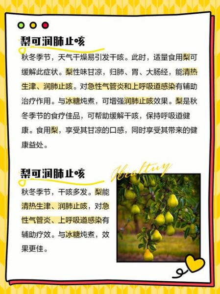 女人吃梨的好处_梨对女性的功效与作用-第3张图片-山城妙识