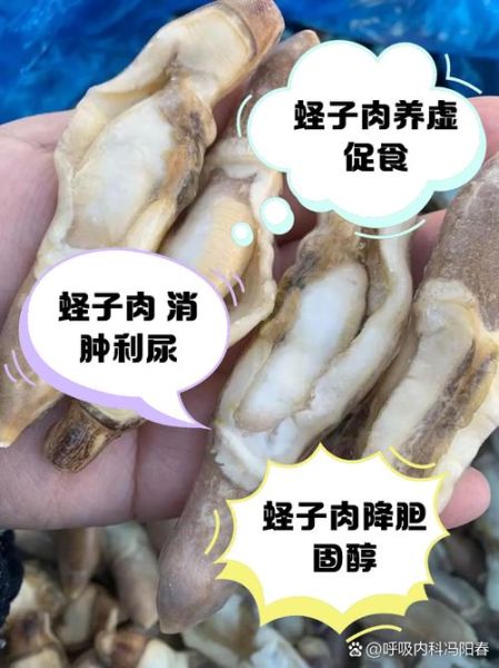 蛏王肉的营养价值_蛏王肉怎么吃最营养-第2张图片-山城妙识 蛏王肉的营养价值_蛏王肉怎么吃最营养-第2张图片-山城妙识