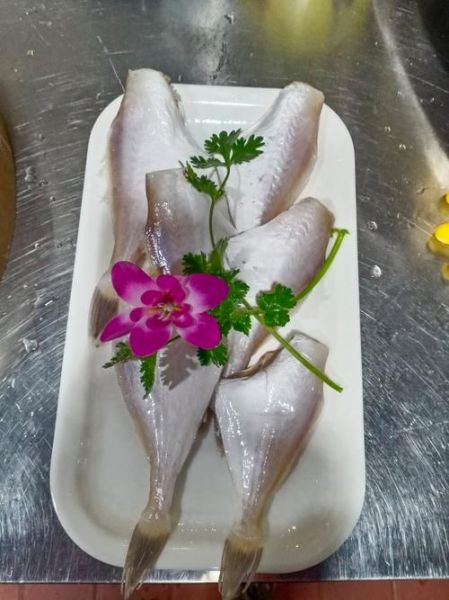 耗儿鱼是什么鱼_耗儿鱼为什么叫耗儿鱼-第1张图片-山城妙识