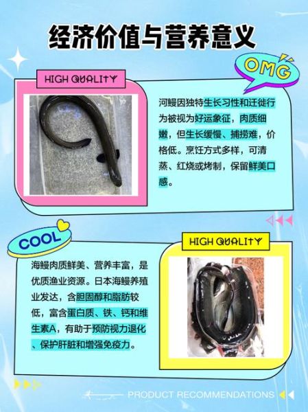 海鳗龙是什么_海鳗龙和鳗鱼区别-第2张图片-山城妙识