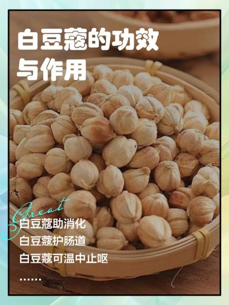 豆蔻是什么_豆蔻的功效与作用-第3张图片-山城妙识