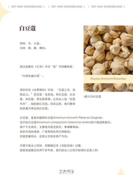 豆蔻是什么_豆蔻的功效与作用-第2张图片-山城妙识