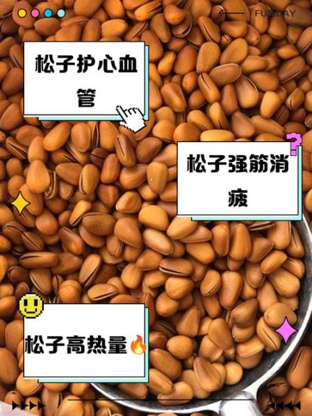 吃松子有什么好处和坏处_松子吃多了会上火吗-第3张图片-山城妙识 吃松子有什么好处和坏处_松子吃多了会上火吗-第3张图片-山城妙识