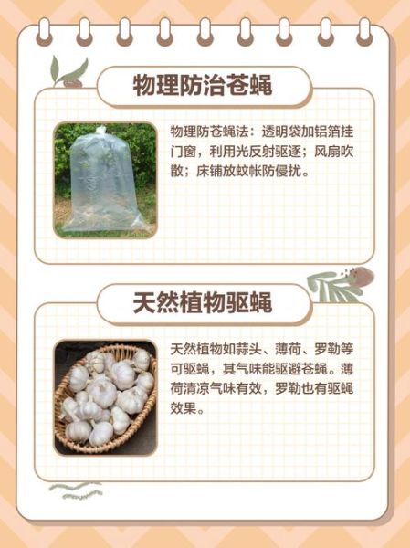 苍蝇太多了用什么办法快速解决_家里苍蝇多怎么办-第2张图片-山城妙识