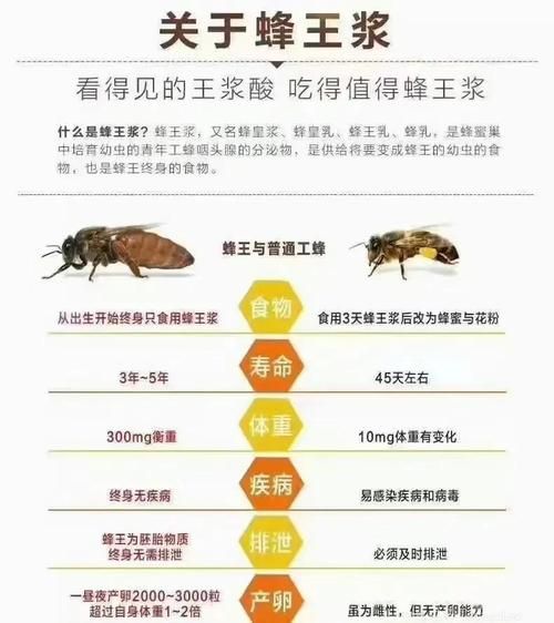 蜂王浆的功效与副作用有哪些_适合什么人吃-第1张图片-山城妙识