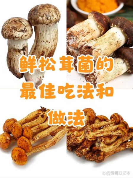 野生松茸怎么吃_野生松茸做法大全-第2张图片-山城妙识