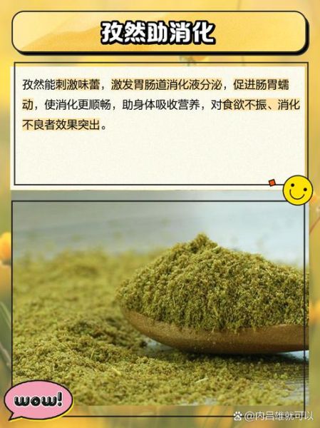 孜然吃多了有什么坏处_孜然过量副作用-第1张图片-山城妙识 孜然吃多了有什么坏处_孜然过量副作用-第1张图片-山城妙识