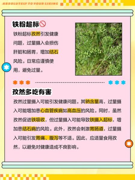 孜然吃多了有什么坏处_孜然过量副作用-第3张图片-山城妙识 孜然吃多了有什么坏处_孜然过量副作用-第3张图片-山城妙识