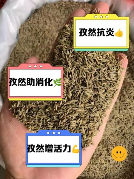 孜然吃多了有什么坏处_孜然过量副作用-第2张图片-山城妙识 孜然吃多了有什么坏处_孜然过量副作用-第2张图片-山城妙识