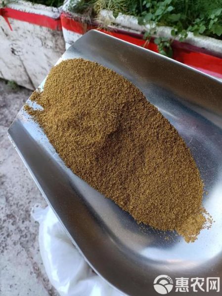 孜然粉可以直接食用吗_孜然粉生吃安全吗-第2张图片-山城妙识