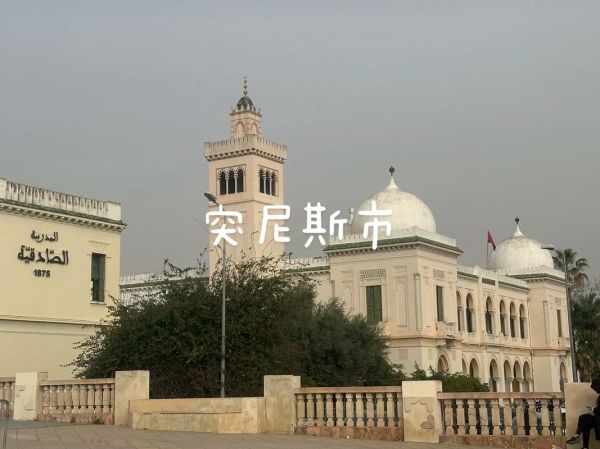 突尼斯是哪个国家的_突尼斯和突尼斯共和国区别-第2张图片-山城妙识
