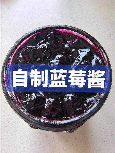 蓝莓酱可以做什么菜_蓝莓酱入菜方法-第2张图片-山城妙识