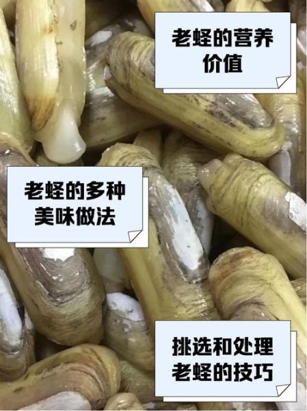 蛏子粤语怎么读_蛏子广东话发音-第2张图片-山城妙识