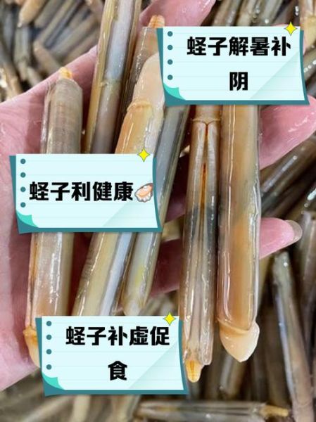 蛏子粤语怎么读_蛏子广东话发音-第1张图片-山城妙识