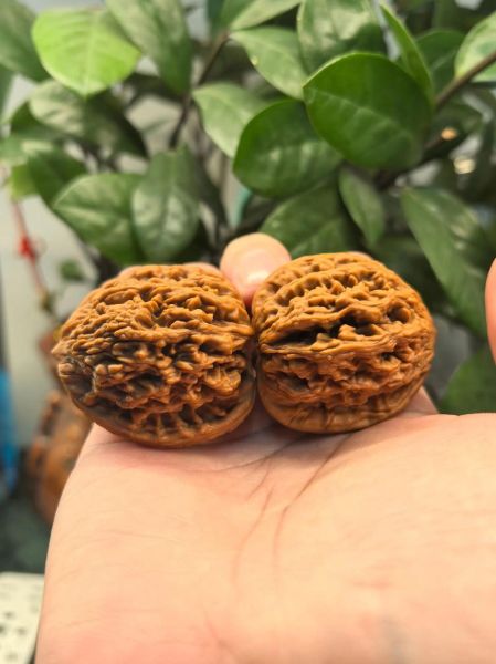 核桃文玩怎么盘_核桃文玩包浆多久变色-第2张图片-山城妙识