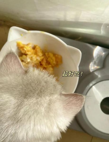 猫咪鸡胸肉怎么煮_煮鸡胸肉后猫咪不吃怎么办-第3张图片-山城妙识