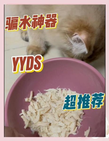 猫咪鸡胸肉怎么煮_煮鸡胸肉后猫咪不吃怎么办-第2张图片-山城妙识
