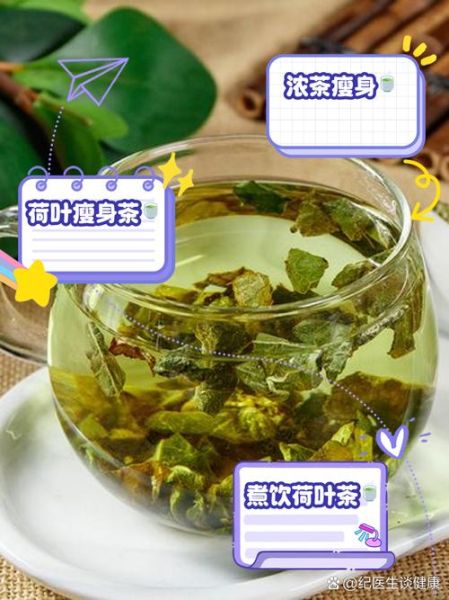 喝荷叶茶一周瘦10斤_真的靠谱吗-第1张图片-山城妙识