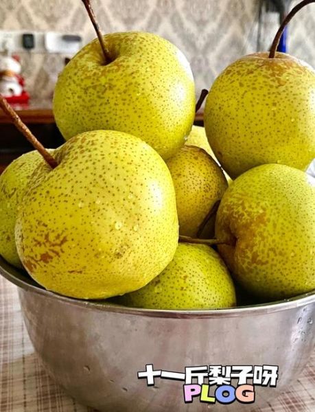 秋梨膏用什么梨做最好_雪花梨还是鸭梨-第2张图片-山城妙识 秋梨膏用什么梨做最好_雪花梨还是鸭梨-第2张图片-山城妙识