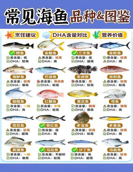 海鱼大全图片和名字_如何快速识别常见海鱼-第3张图片-山城妙识