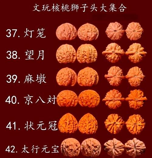 狮子头核桃品种排名_哪个品种最好-第2张图片-山城妙识 狮子头核桃品种排名_哪个品种最好-第2张图片-山城妙识