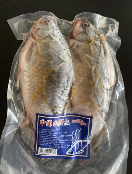 海鲋鱼多少钱一斤_海鲋鱼怎么做好吃-第2张图片-山城妙识 海鲋鱼多少钱一斤_海鲋鱼怎么做好吃-第2张图片-山城妙识