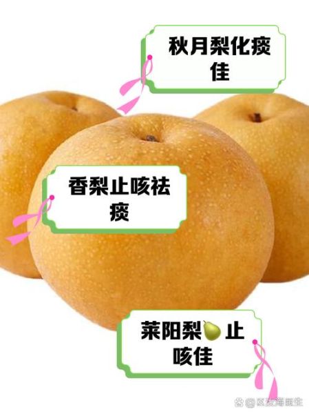 什么梨止咳化痰效果好_雪梨和鸭梨哪个更管用-第2张图片-山城妙识