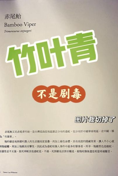 青竹蛇有毒吗_被咬后怎么办-第1张图片-山城妙识