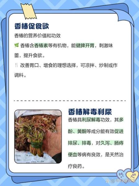 香椿芽的副作用有哪些_哪些人不能吃香椿芽-第2张图片-山城妙识