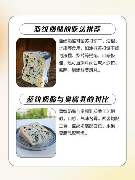 蓝纹奶酪的营养价值_蓝纹奶酪适合减肥吗-第3张图片-山城妙识