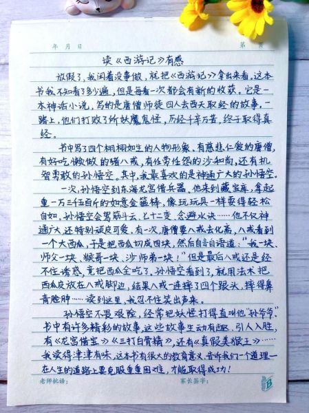 小海兔的故事告诉我们什么_读后感怎么写-第1张图片-山城妙识