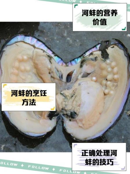 河蚌怎么处理干净_河蚌前期处理步骤-第3张图片-山城妙识