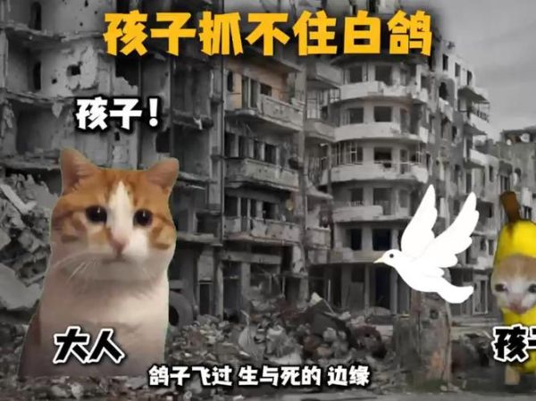 男孩不能吃鸽子_男孩吃鸽子有什么坏处-第2张图片-山城妙识