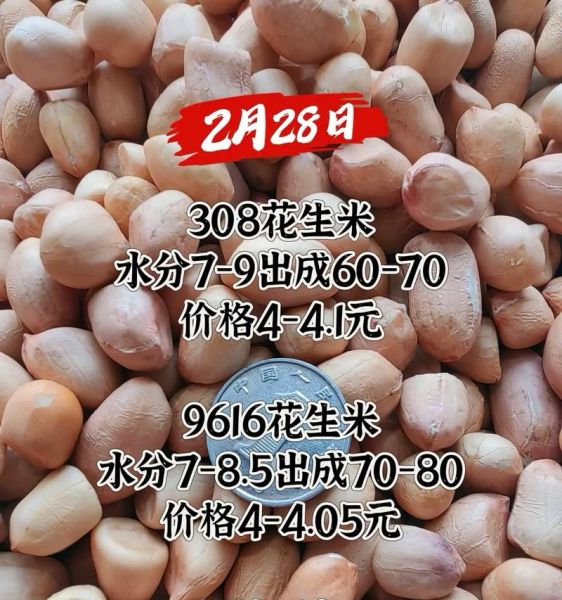 花生价格最新行情_花生价格为什么上涨-第1张图片-山城妙识 花生价格最新行情_花生价格为什么上涨-第1张图片-山城妙识