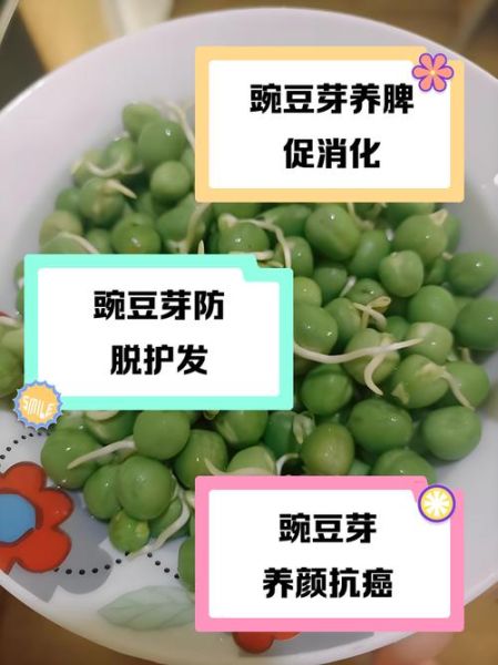 豌豆发芽了还能吃吗_新鲜豌豆发芽后怎么处理-第1张图片-山城妙识