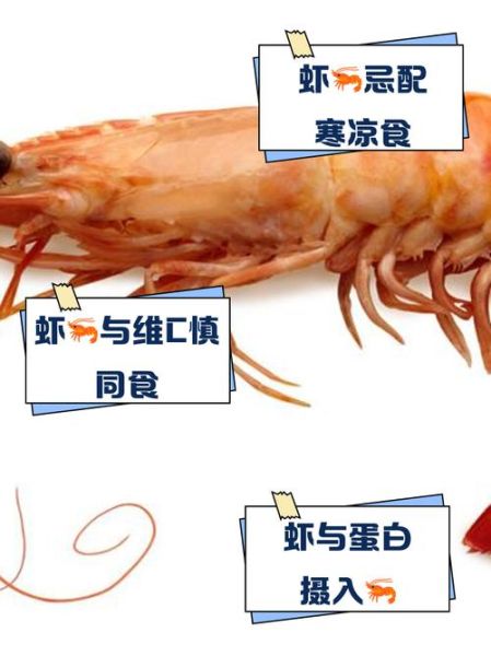 虾和什么一起吃最好_虾搭配禁忌有哪些-第1张图片-山城妙识